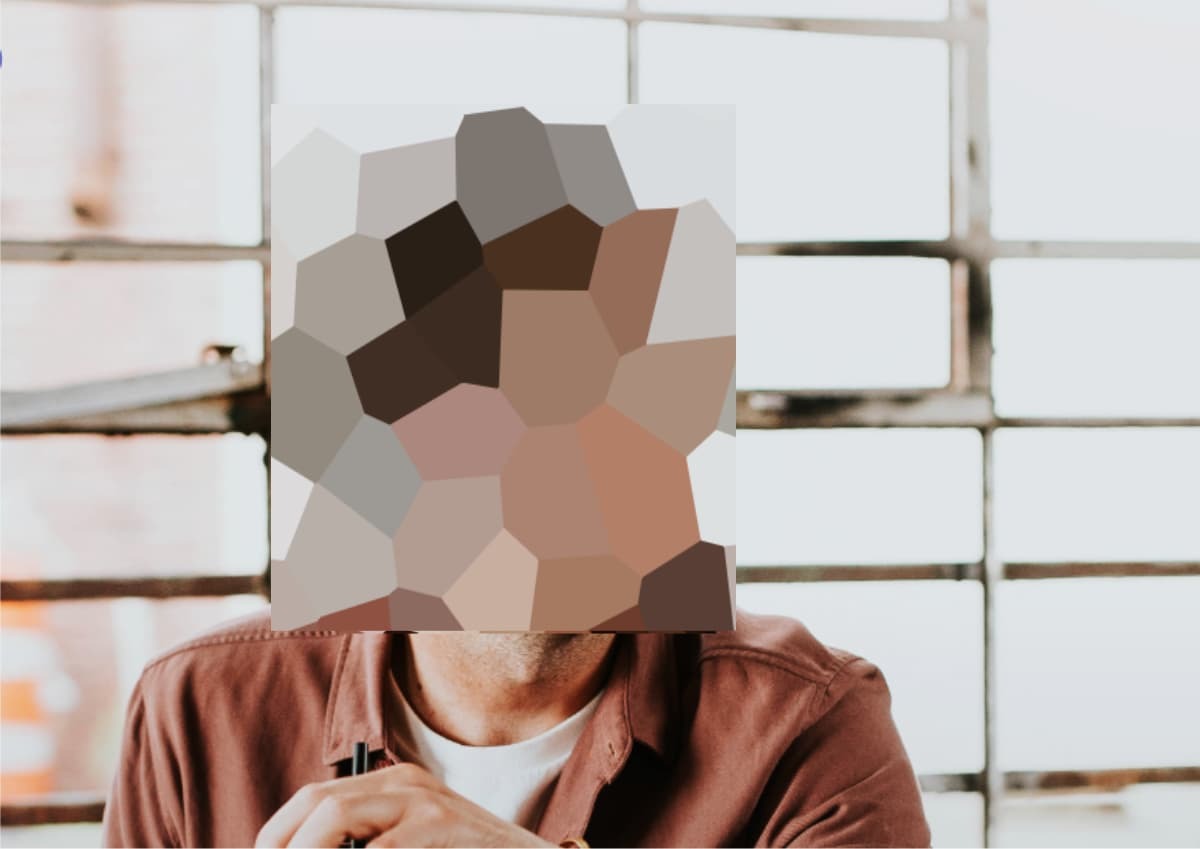 AI-Powered Video & Image Redaction Software | Sighthound Redactor